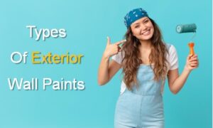Types Of Exterior Wall Paints - Exterior Paint Types And Features